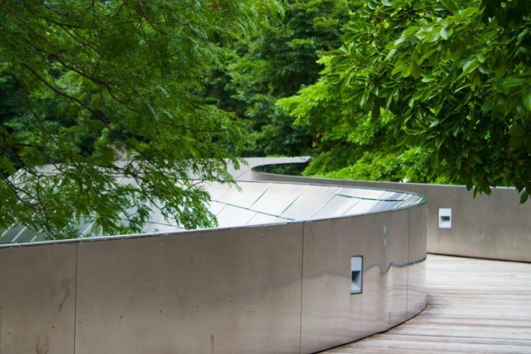 Biophilic design: The benefits of incorporating nature into modern ...